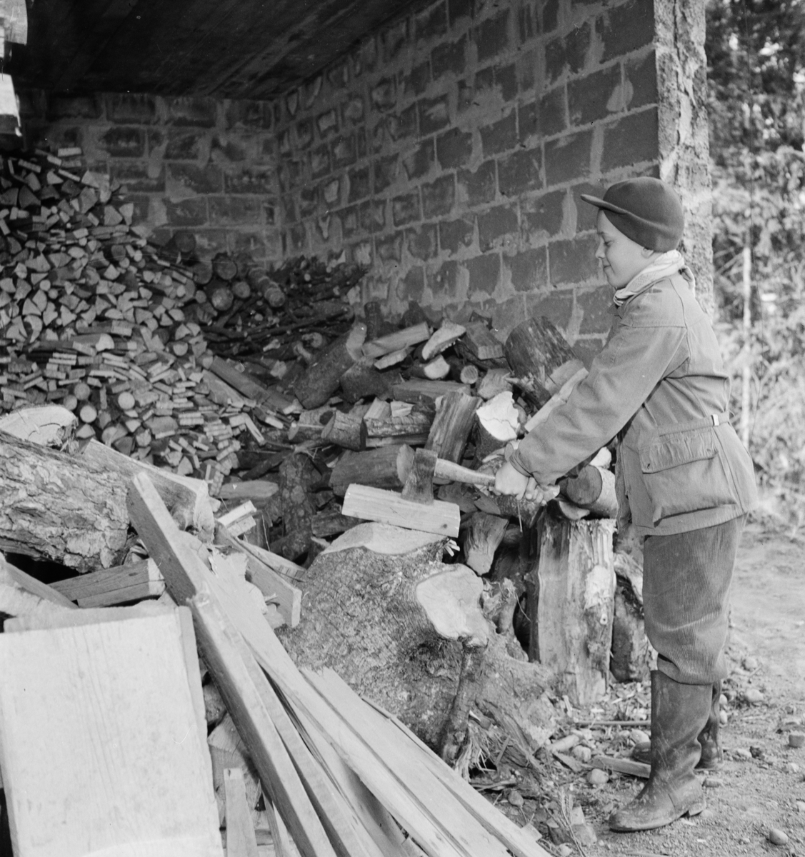 Pojke hugger ved vid urmakare Hemlins sommarstuga vid Ekoln, Uppland ...