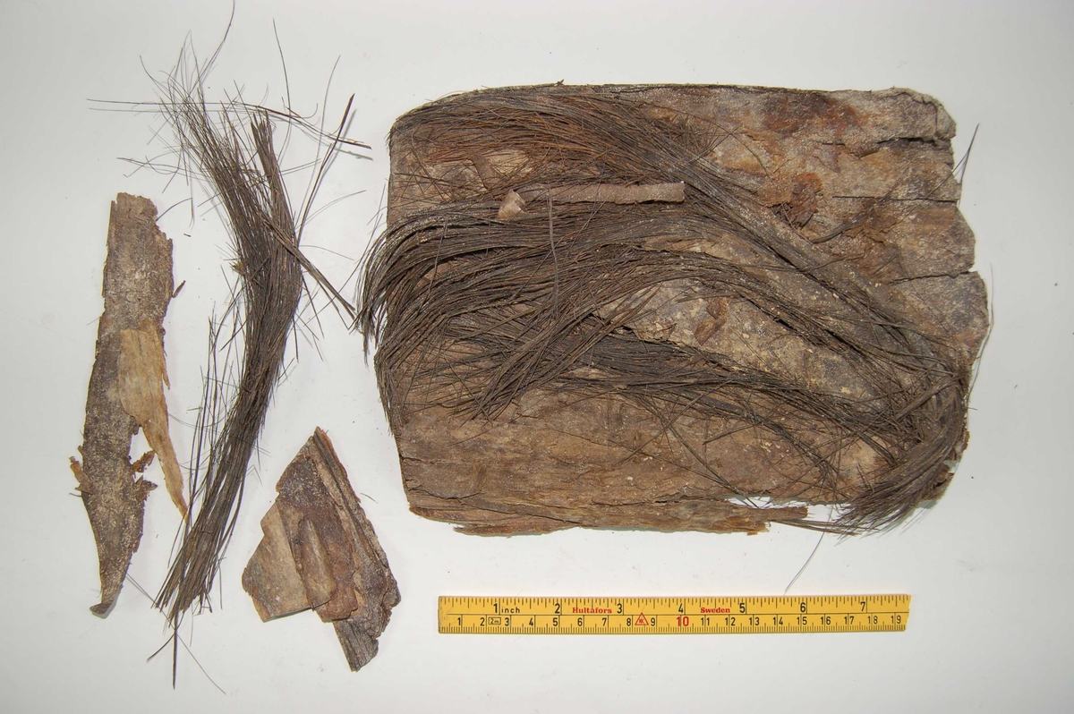 Barde - Svalbard Museum / DigitaltMuseum