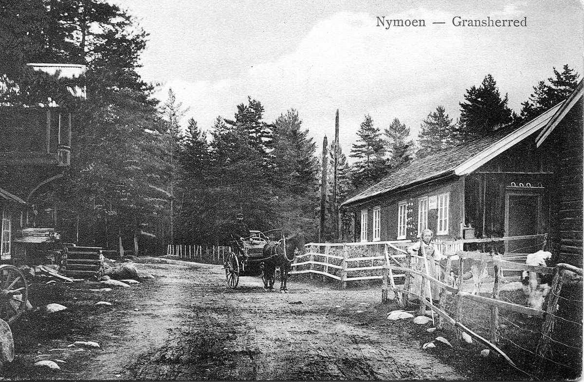 Nymoen, Gransherad. - Telemark Museum / DigitaltMuseum