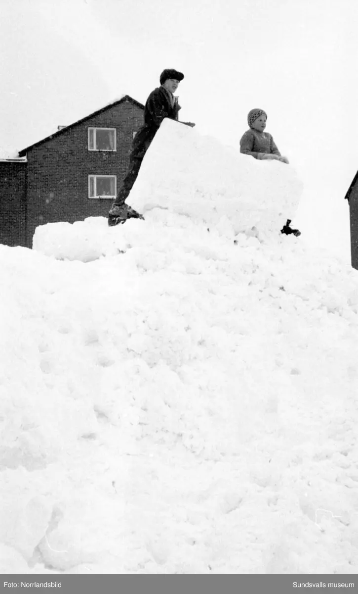 Bandy på Midälvaplan i Nacksta, Kuben-HAIK 3-3. - Sundsvalls museum ...