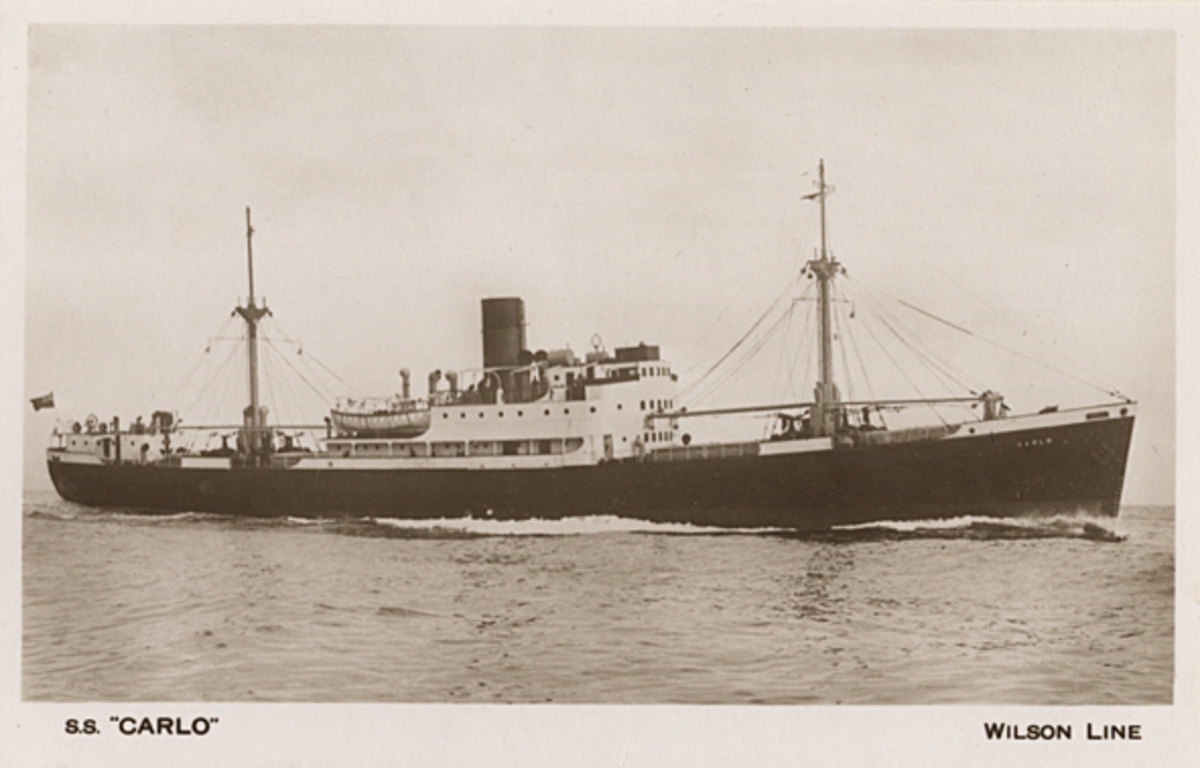 S.S. "CARLO" WILSON LINE - Sjöhistoriska museet / DigitaltMuseum
