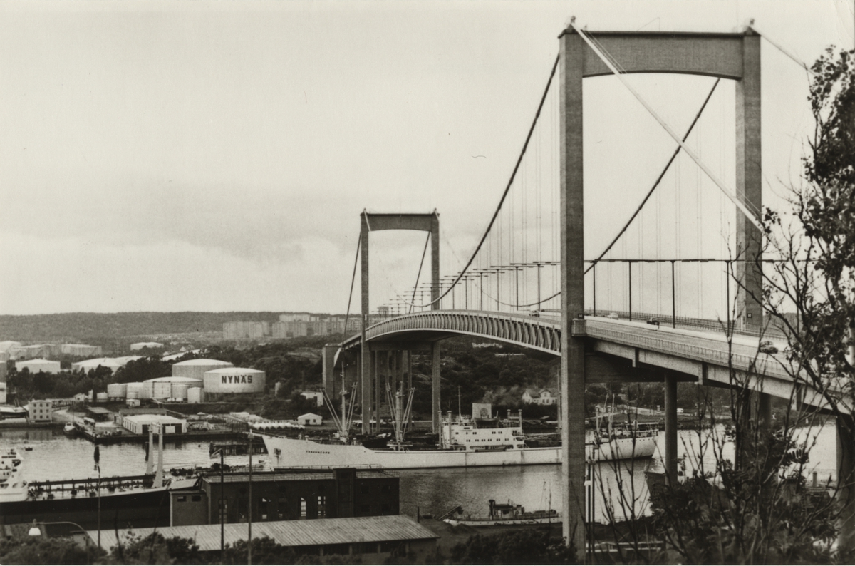 MS TRAVANCORE Broströmkoncernens elevfartyg The training ship of the ...