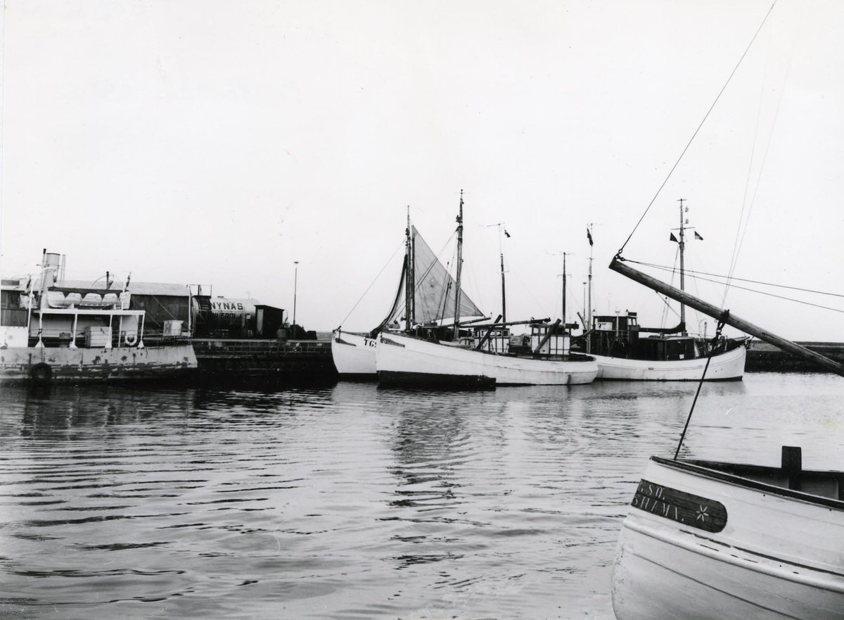 Från Simrishamns hamn, 1953. - Sjöhistoriska museet / DigitaltMuseum