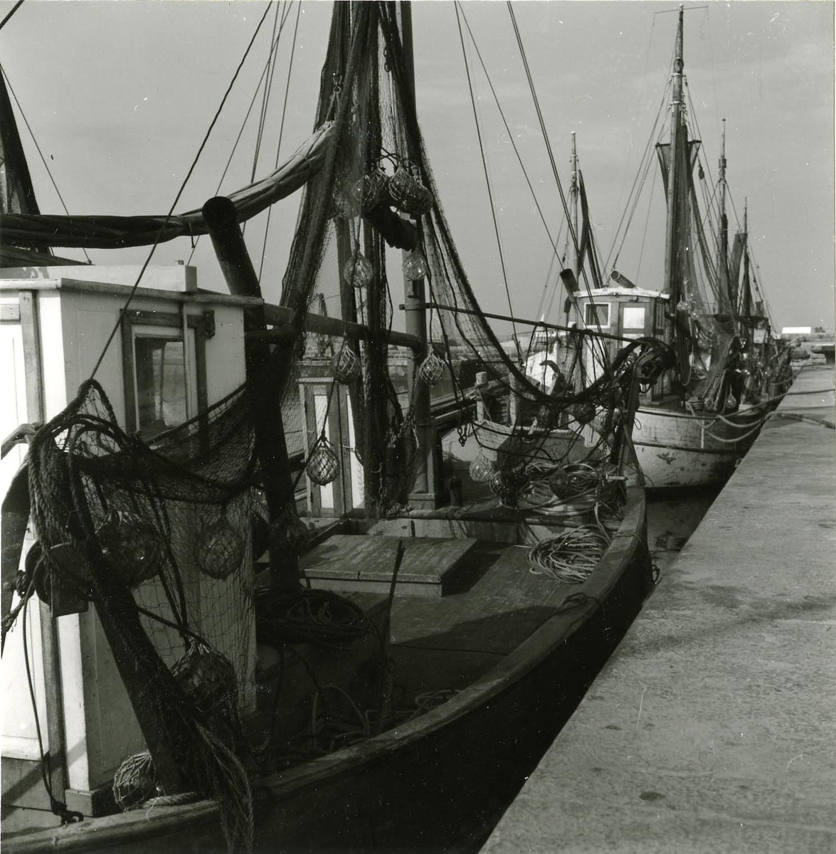 Från Simrishamns hamn, 1953. - Sjöhistoriska museet / DigitaltMuseum
