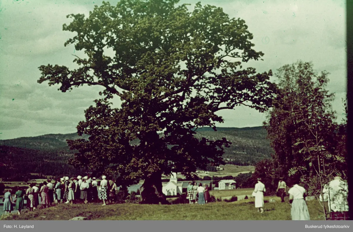 Utflykt til den Gamle mester ved Noresund, kjent fra eventyr etter ...