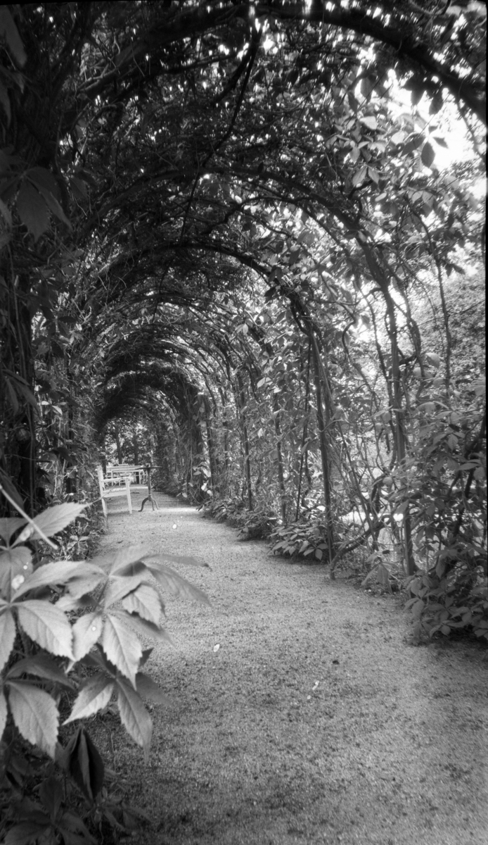 Hagebilde. Kohinoor, Ulefoss. - Telemark Museum / DigitaltMuseum