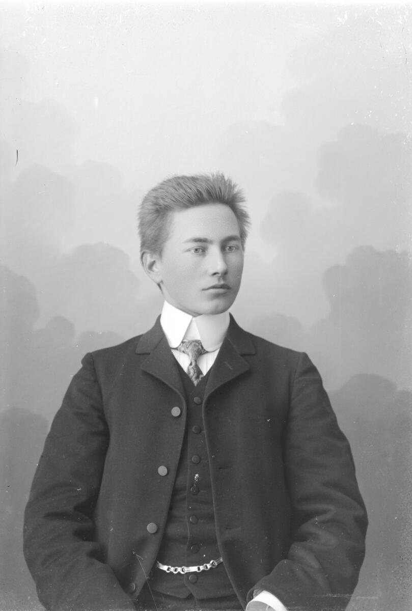 Axel Hellström; Ingår i porträttsamlingen från Knut Wallins ateljé ...