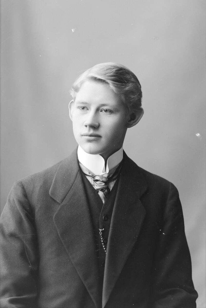 Emil Åberg; Ingår i porträttsamlingen från Knut Wallins ateljé ...