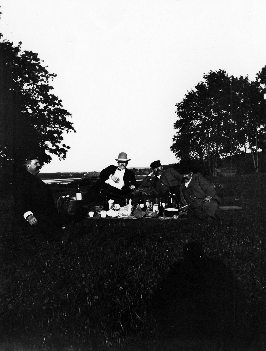 Alfred Hedén, Albert Andersson, Emil Sandberg och Alfred Larsson har ...