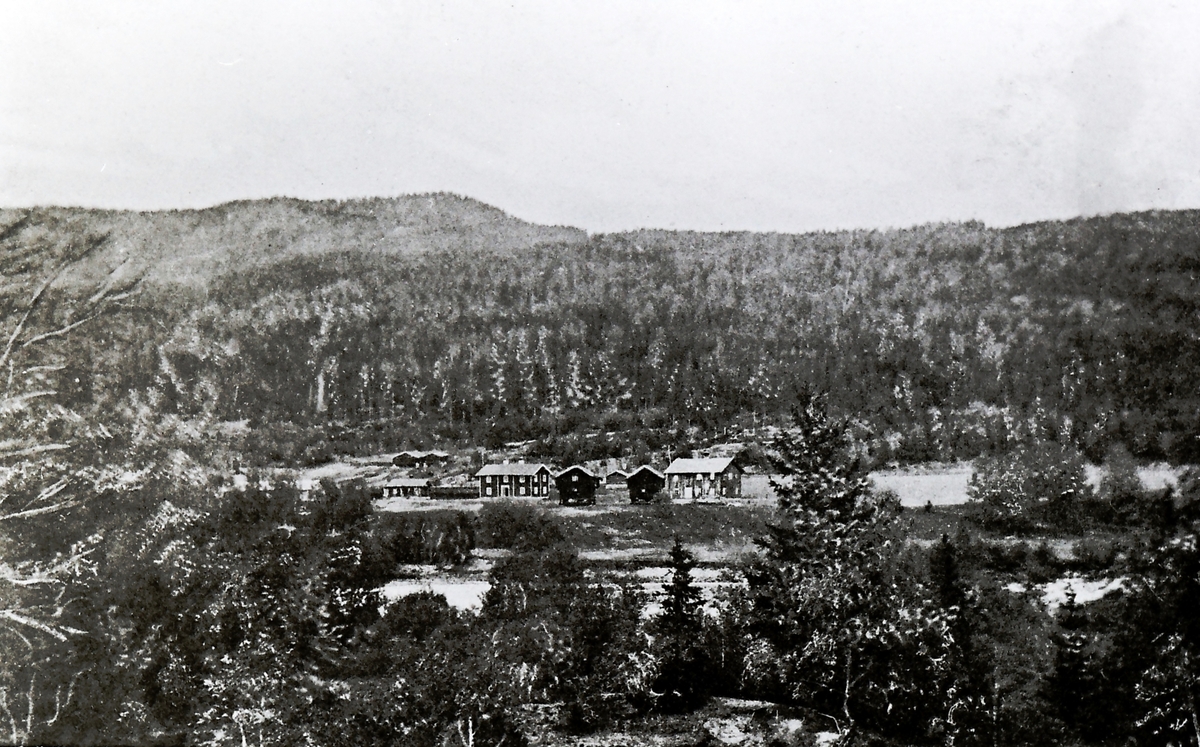 Fossan, Rollag - Kongsberg Historielag / DigitaltMuseum