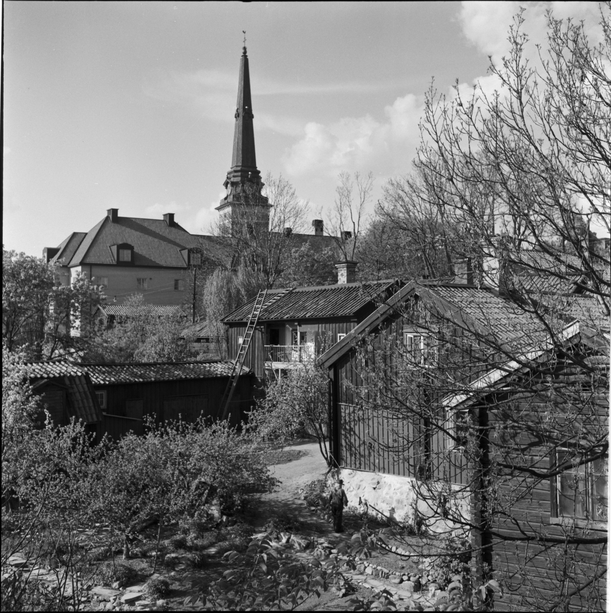 DIVERSE EXTERIÖRER OCH PARKBILDER - ArkDes / DigitaltMuseum