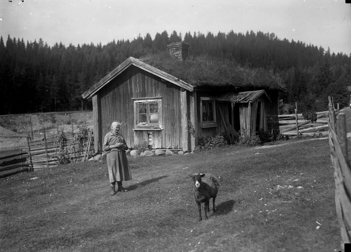 Envånings stuga med torvtak, den så kallade "Getastugan" vid ...