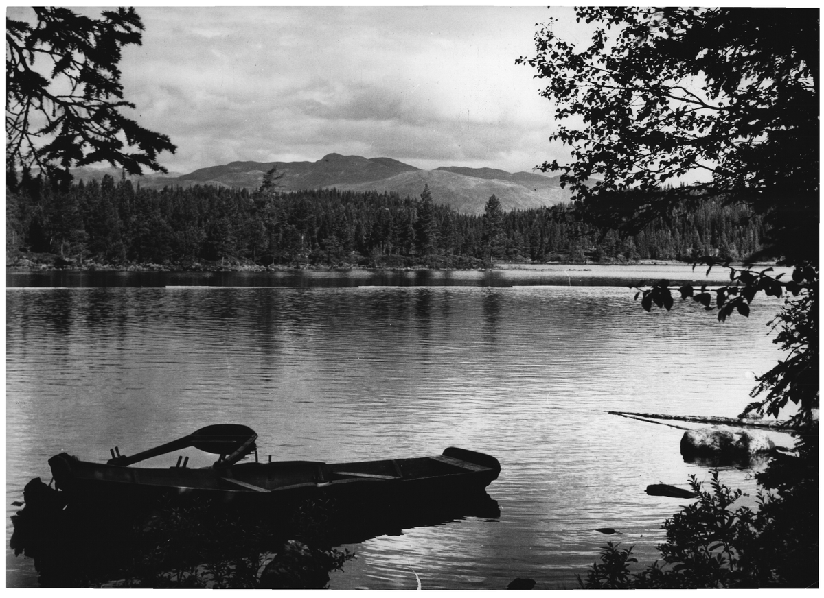 "Utsyn mot Raulandsfjella, 1954. Dyre Vaa. Foto til Olav Bøs artikkel ...