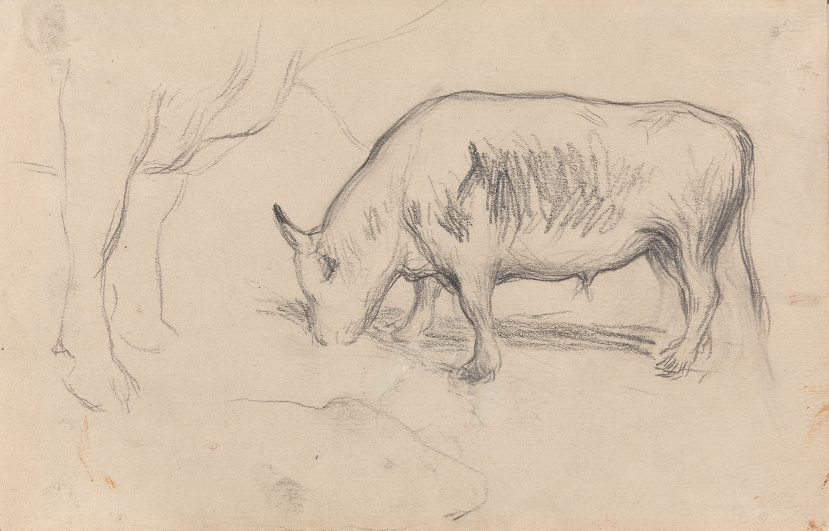 Ku og kalv [Tegning] - Nasjonalmuseet, billedkunstsamlingene ...