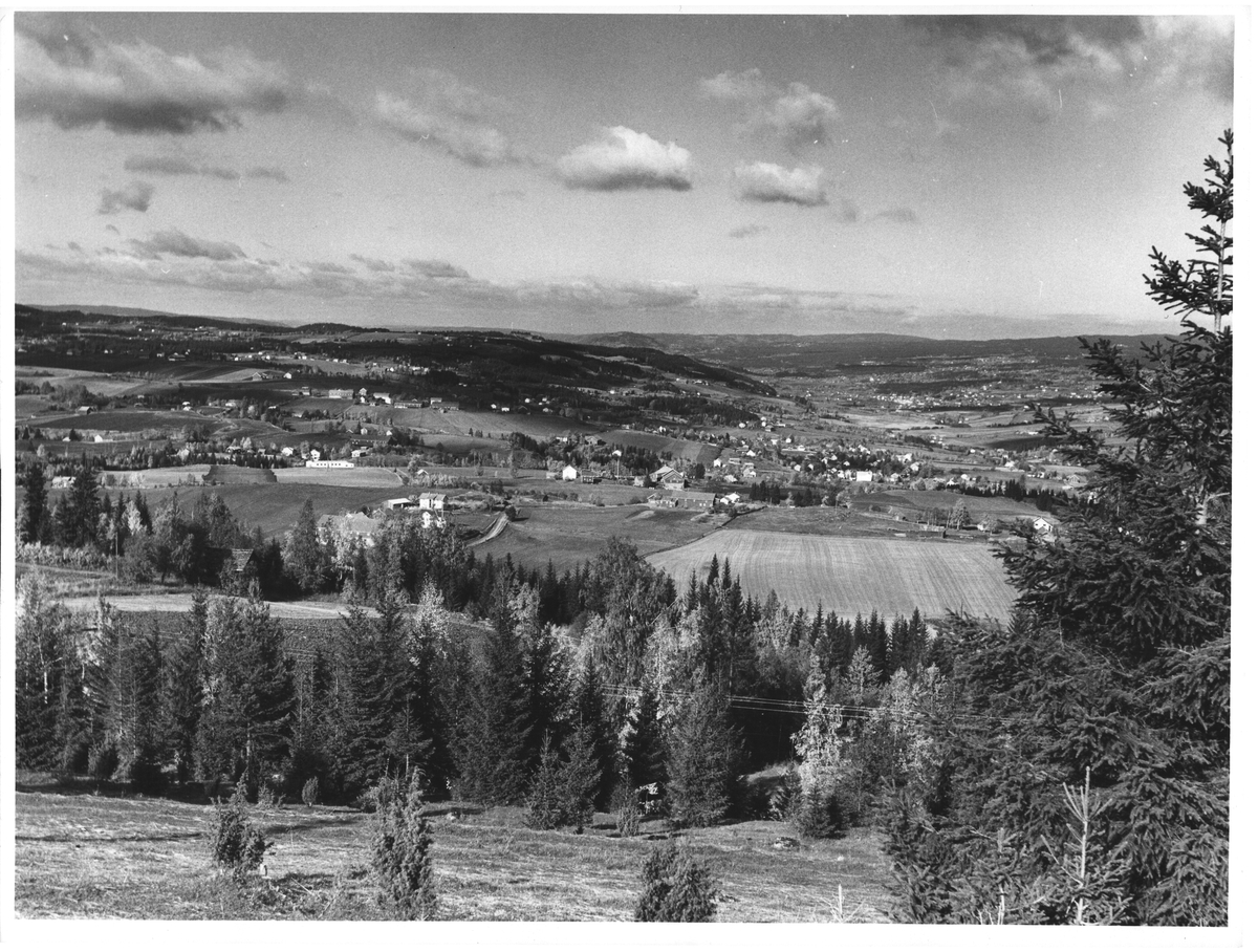 Lunner og Gran fra oppen.? - DEXTRA Photo / DigitaltMuseum