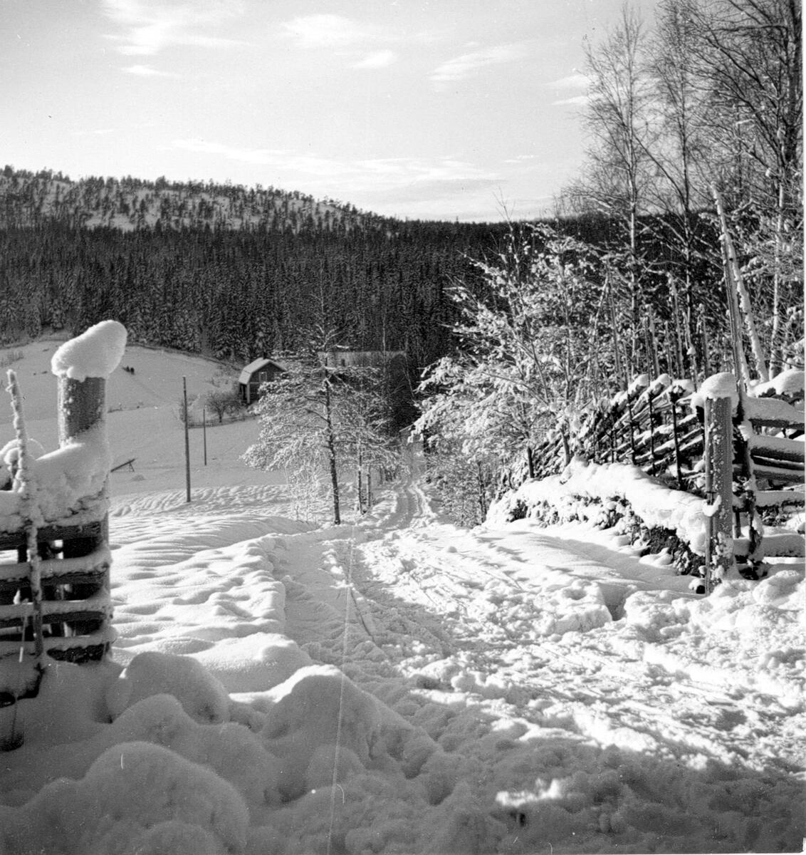 Vintermotiv - Västernorrlands museum / DigitaltMuseum