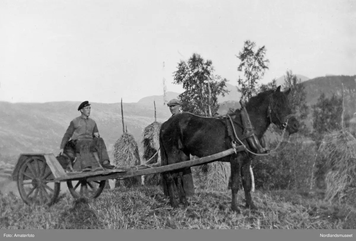 Frostmo, Valnesvatnet. En hest med kjerre og 2 personer, Lyder Larsen ...