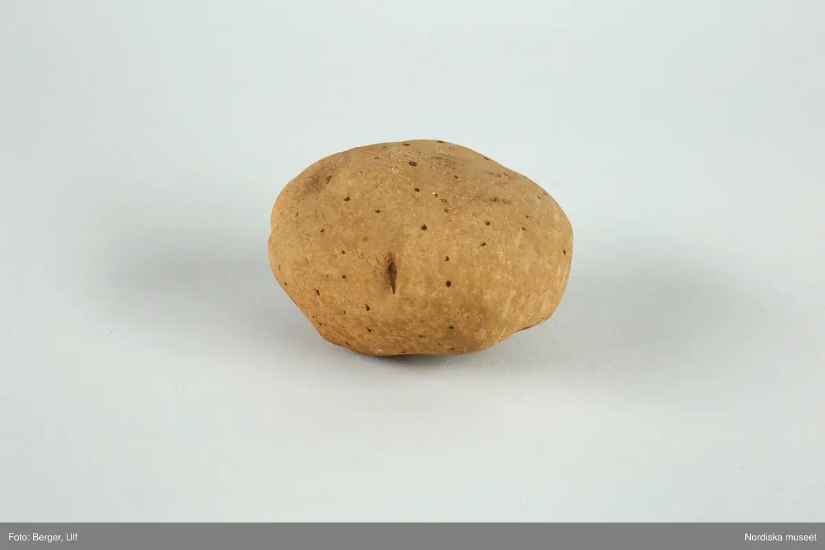 Potatis - Nordiska museet / DigitaltMuseum