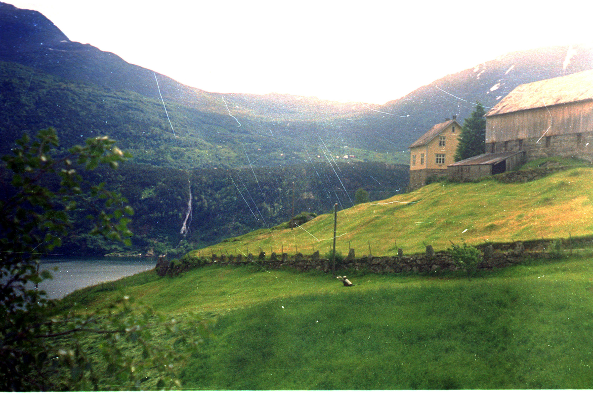 Årdal, Breim sogn, Gloppen prestegjeld, (Ryggen) Kodacolor. (gravn.ark) - Universitetsmuseet i ...