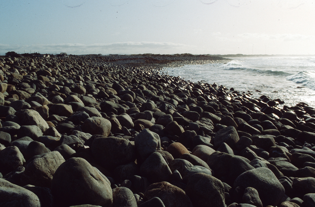 Rullesteinstrand fra Sele-stranden. - Arkeologisk museum, Universitetet ...