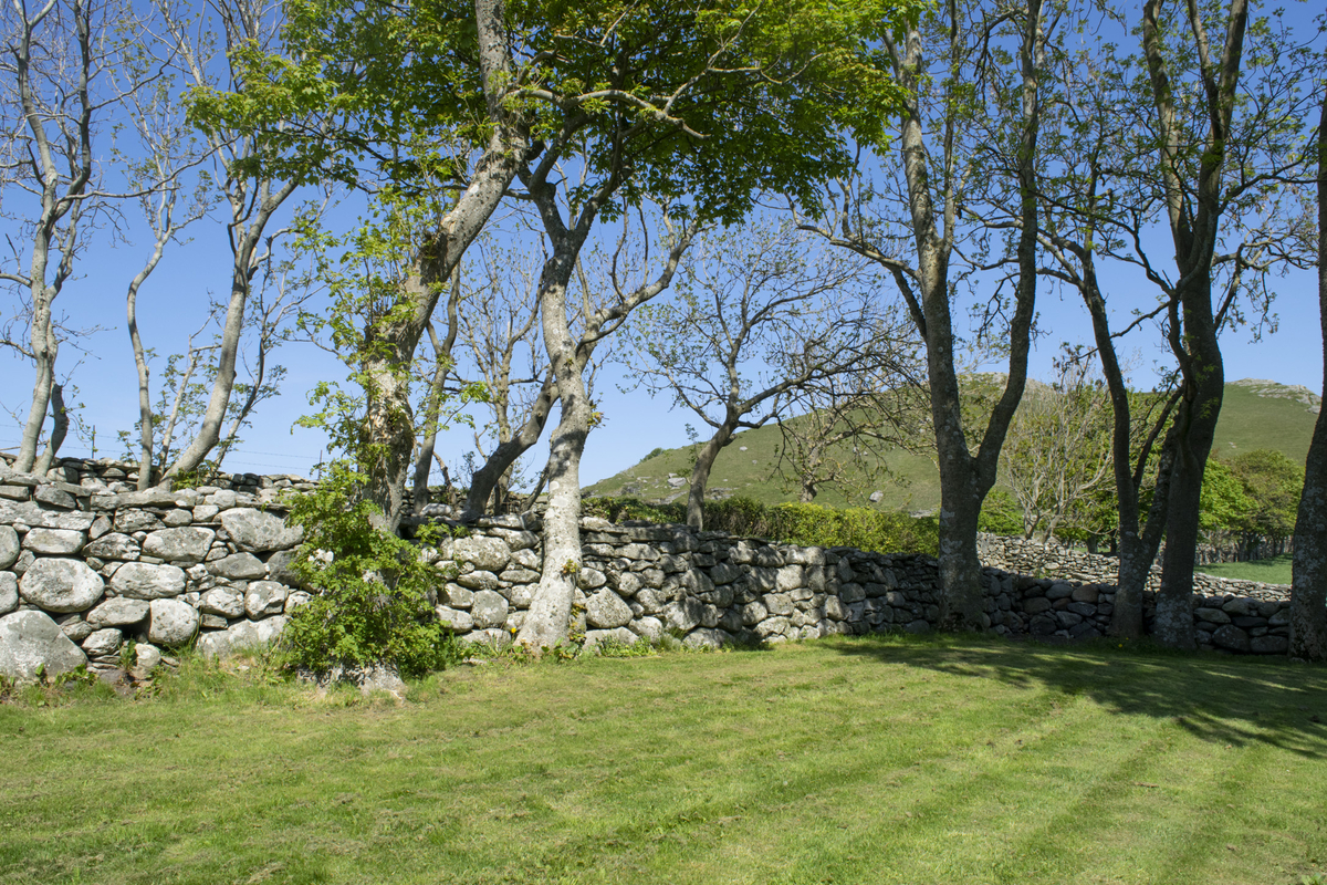 Trær rundt Utstein Kloster. - Arkeologisk museum, Universitetet i ...