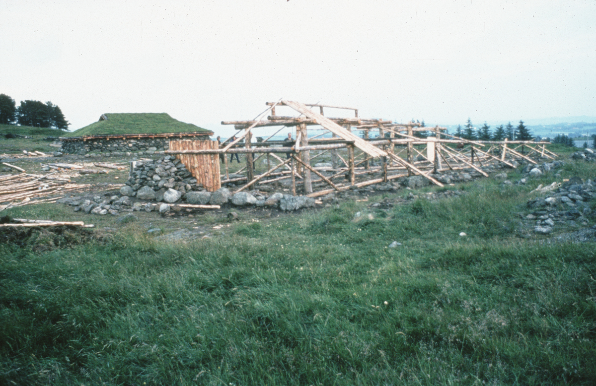 Fra arbeidet med rekonstruksjon av hus på Jernaldergården ...
