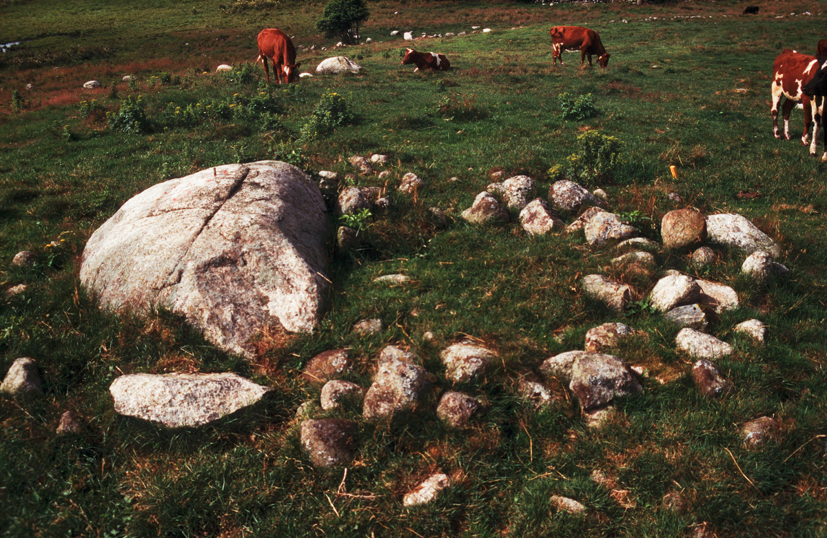 IVAR-prosjektet. - Arkeologisk museum, Universitetet i Stavanger - Foto ...