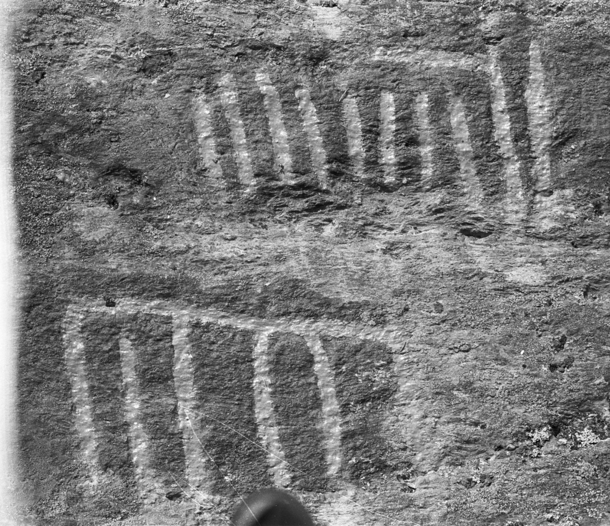 Helleristningsfelt fra Vardeneset i Dusavigå. - Arkeologisk museum ...