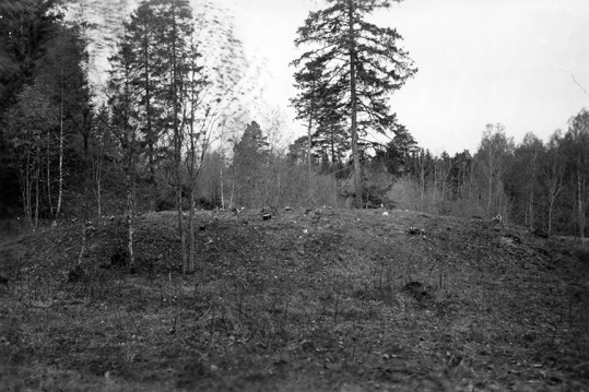 Gravhög frilagd från skog och torv, på Tibbleåsen i Tibble ...
