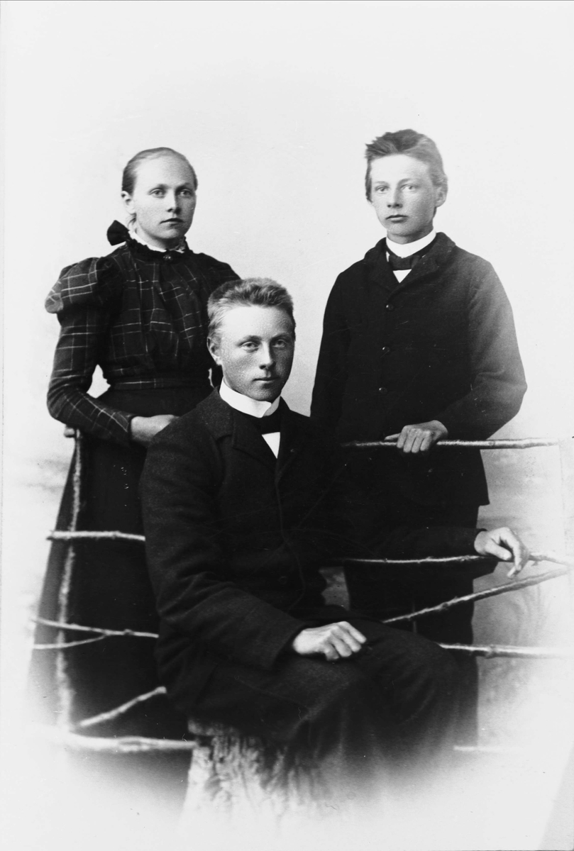 Studioportrett av søsknene Israelsen fra Elde, Kvæfjord. - Sør-Troms ...