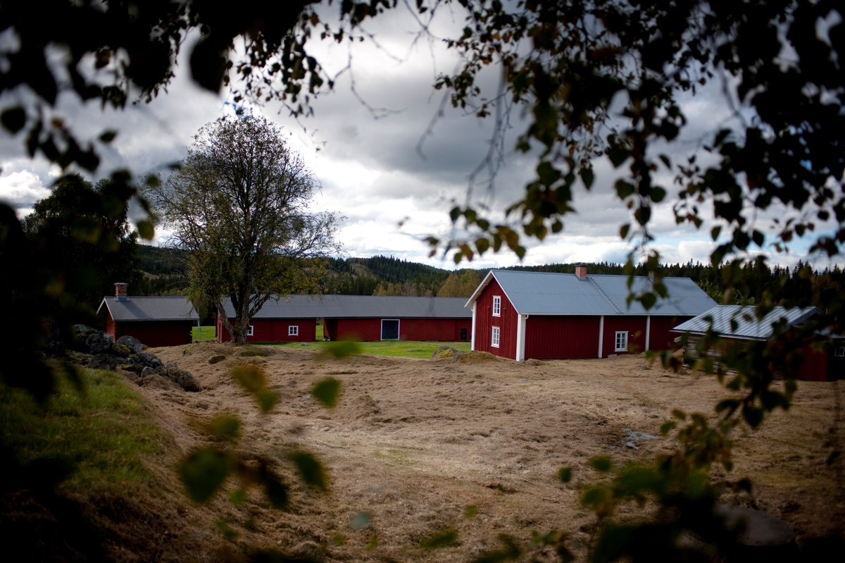 Finngården Juhola, Torsby kommun - Värmlands Museum / DigitaltMuseum