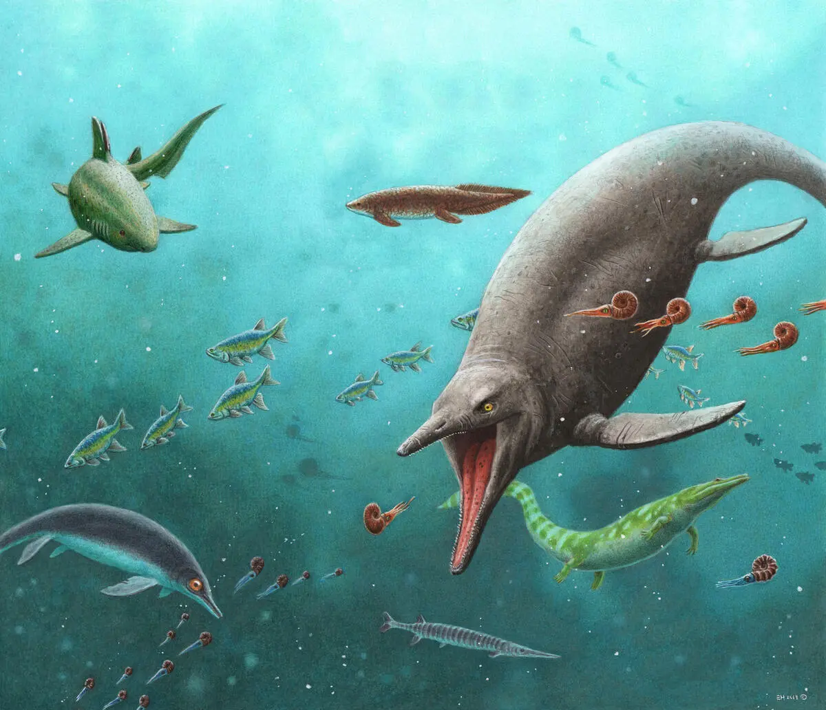 Svalbard har verdens eldste fiskeøgle! - Svalbard Museum