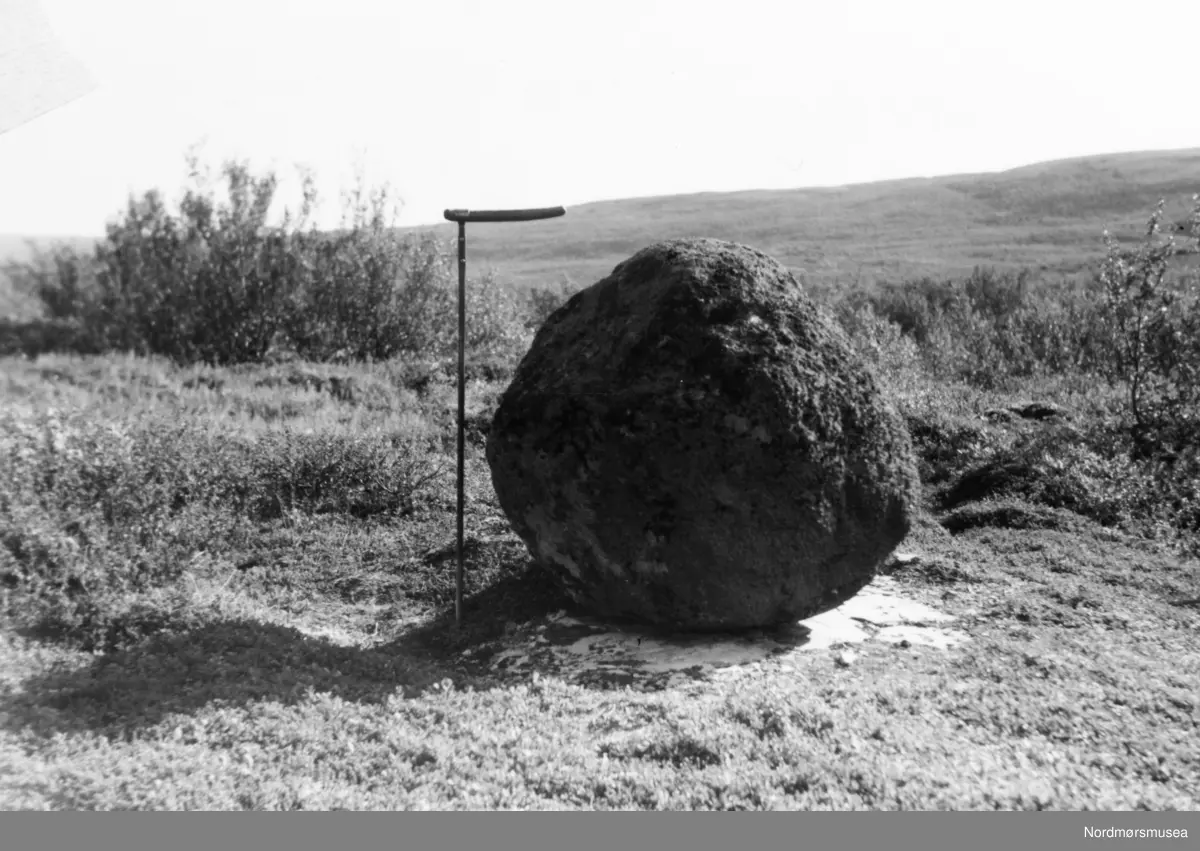 Flyttblokk. Leirpollen i Porsanger. Finnmark 1963. Fra fotoalbumet ...