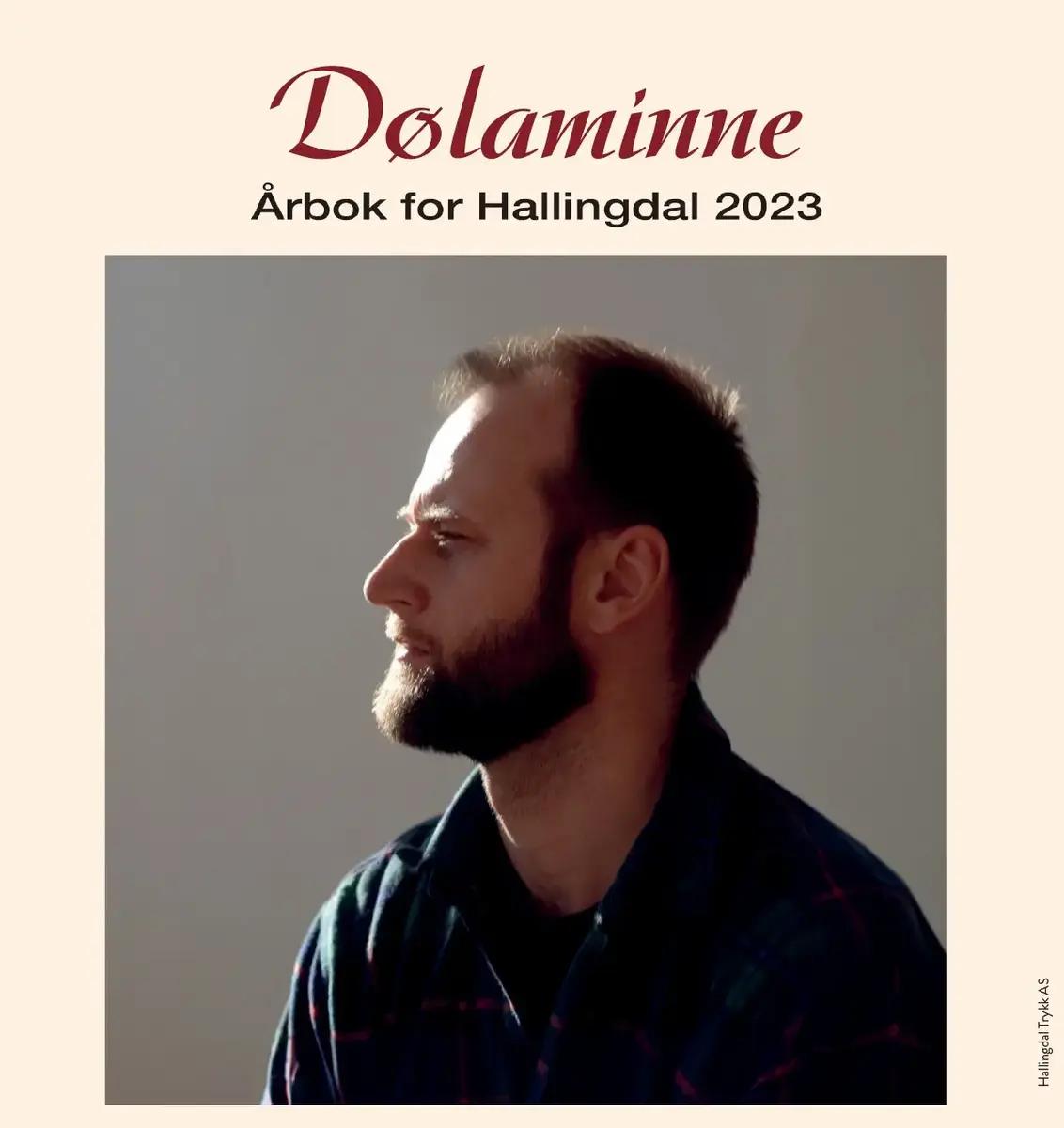 Dølaminne - Hallingdal Museum