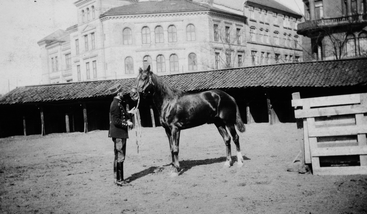 Rittmester Eugen Johansen, sammen med hesten Nøkken. Nøkken er hesten ...