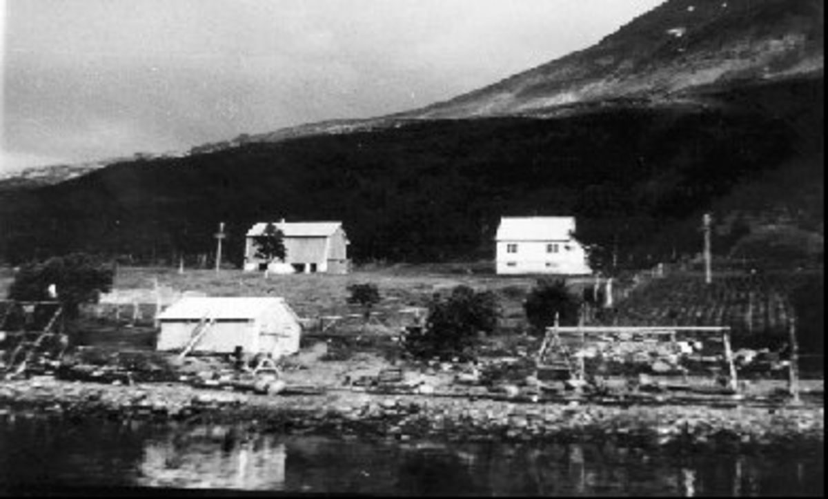 Bosted - Nord-Troms Museum / DigitaltMuseum