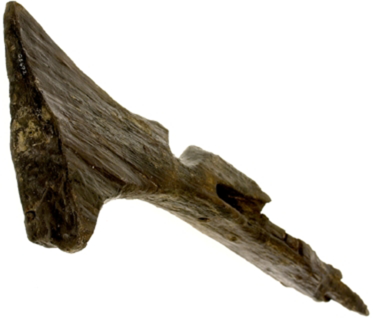 Musköt - Vasamuseet / DigitaltMuseum