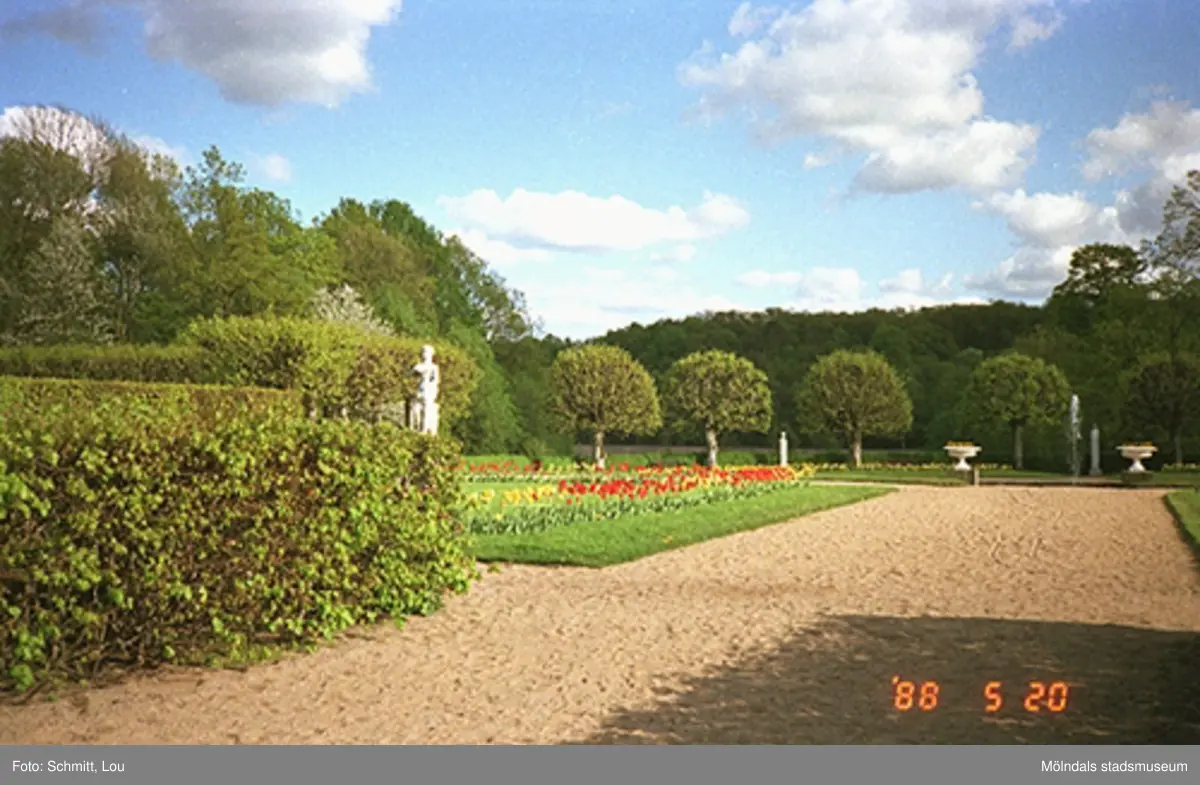 Del av blomrabatt och häck i Gunnebo slottspark. På en gräsmatta står ...