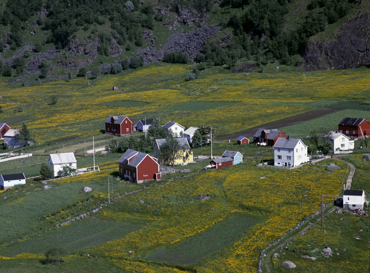 Flyfoto av Alvestad. - Sør-Troms Museum / DigitaltMuseum