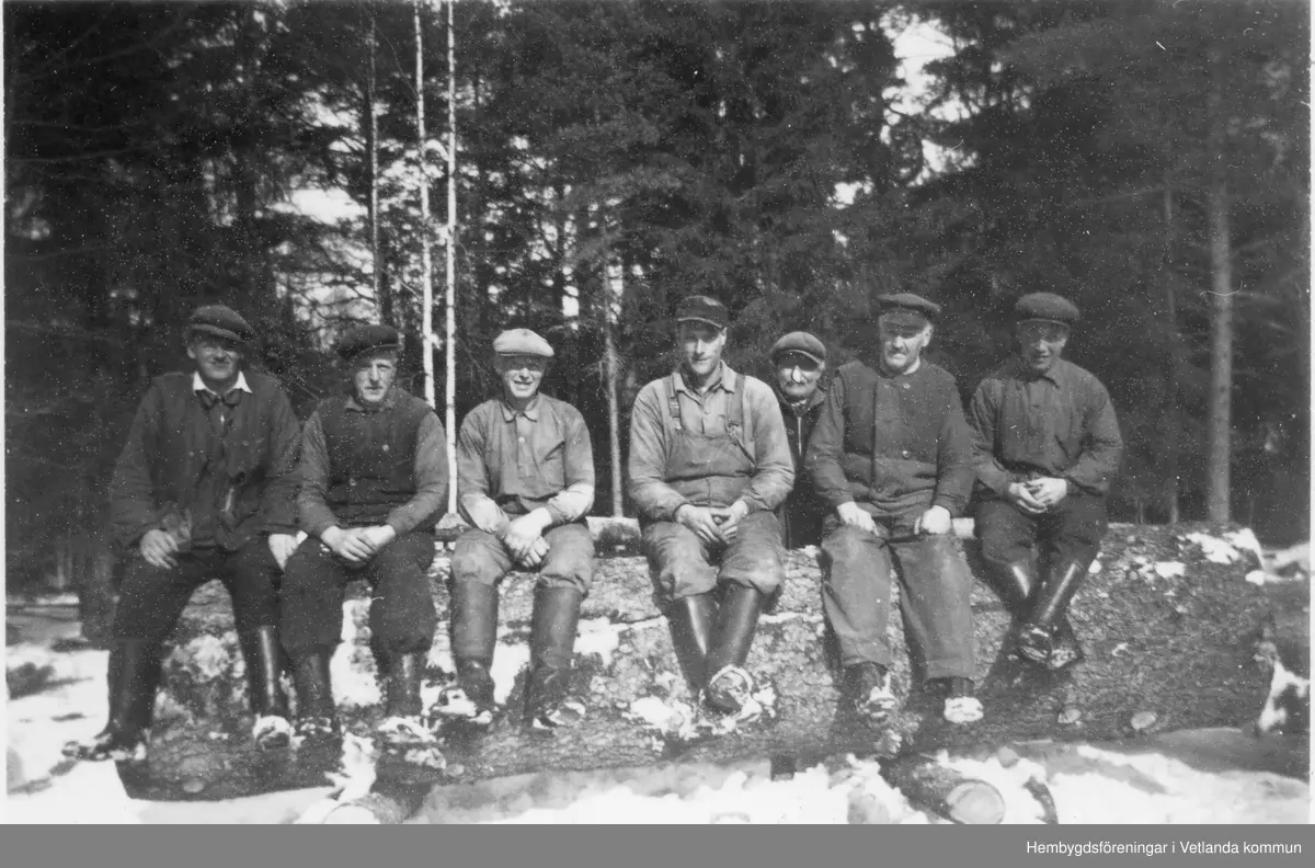 Skogsarbete. På bilden: Artur, Aron Johansson, Isak, Ebbe Engdahl ...