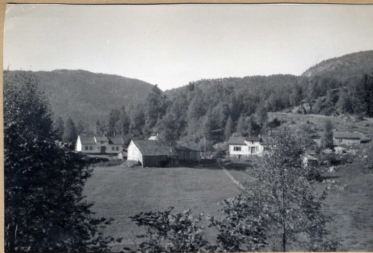 Hus, løe, eng, fjell, skog - Ryfylkemuseet / DigitaltMuseum