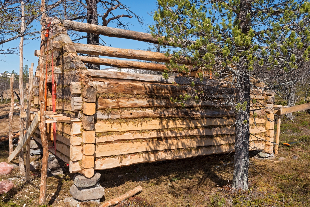 Bilde tatt under arbeidet med å sette opp buret på Daniel Mortenssons ...