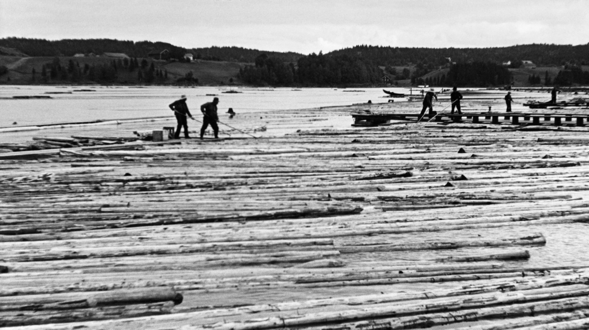 Ett av flere fototrafier som montert i Glomma fellesfløtingsforenings ... Ett av flere fototrafier som montert i Glomma fellesfløtingsforenings ...
