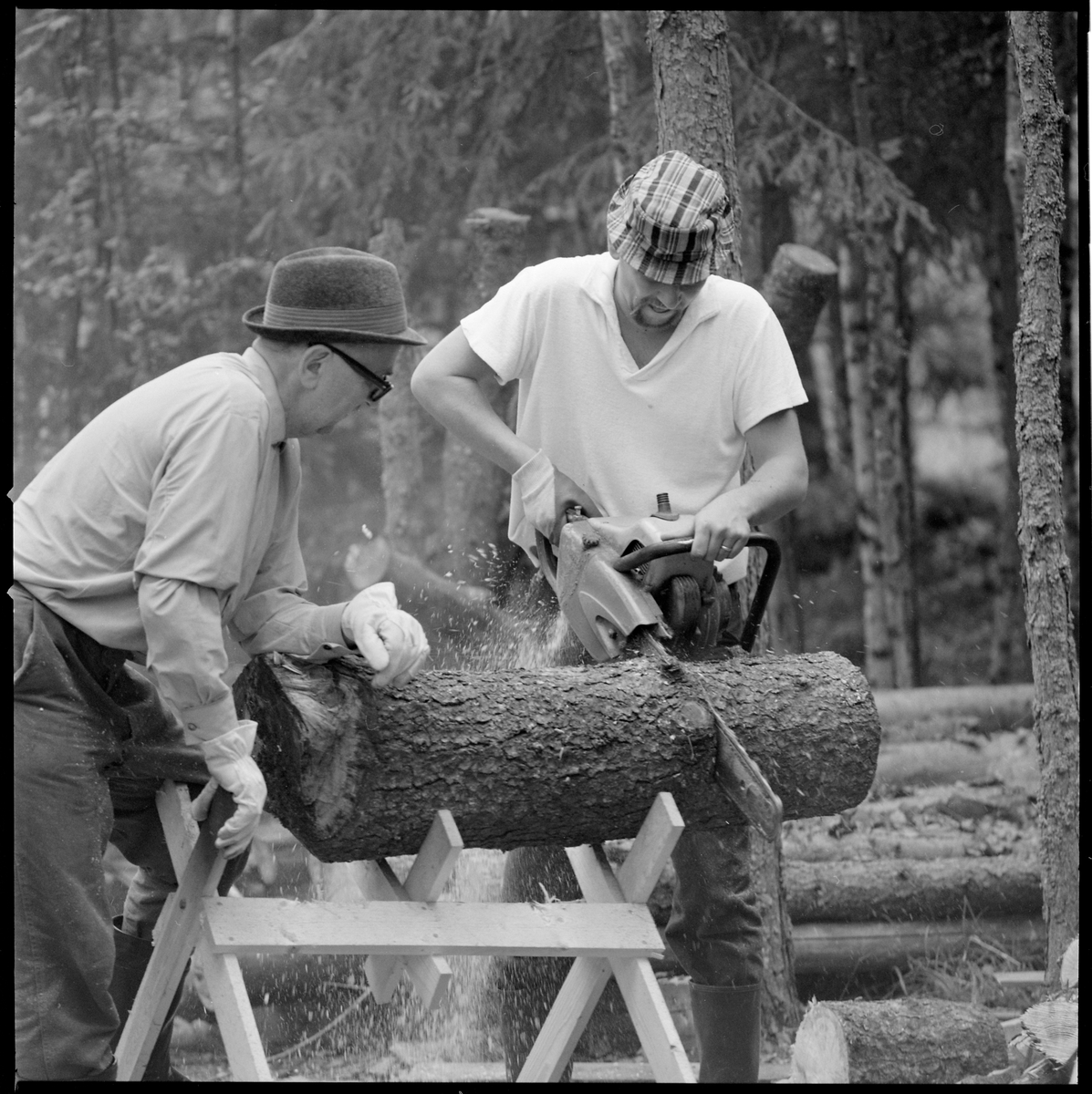 Fotografen Eric "Kanon” Lundquist hjälper till med sågningen ...