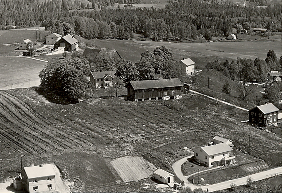 Flyfoto av Grivi i Bø, tatt 7. juni 1958. - Bø Museum / DigitaltMuseum
