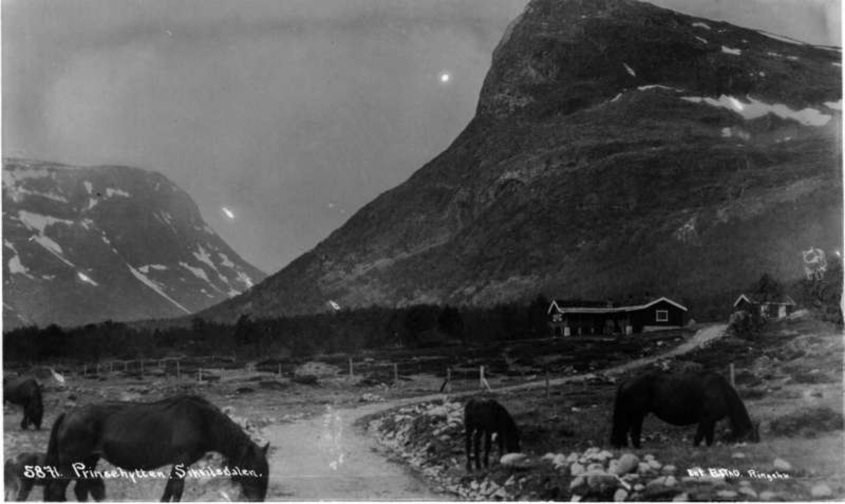 Prinsehytta. Sikkilsdalen. - Maihaugen / DigitaltMuseum