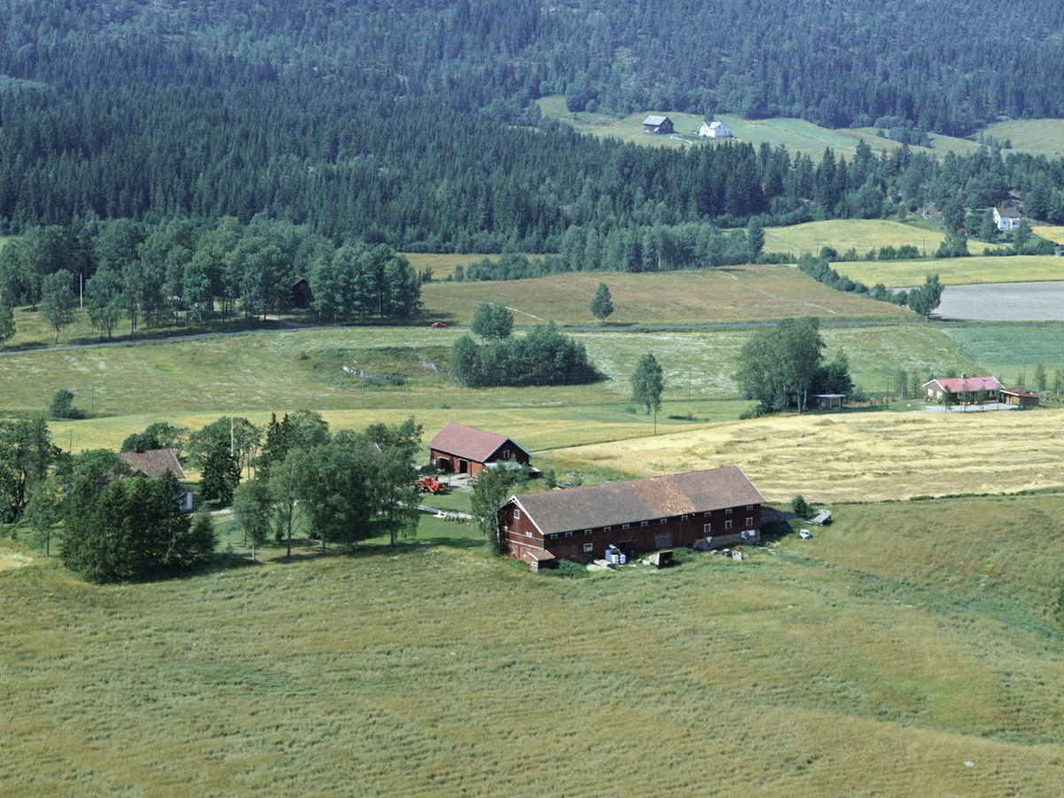 BOTNER GÅRD - Museene i Akershus / DigitaltMuseum