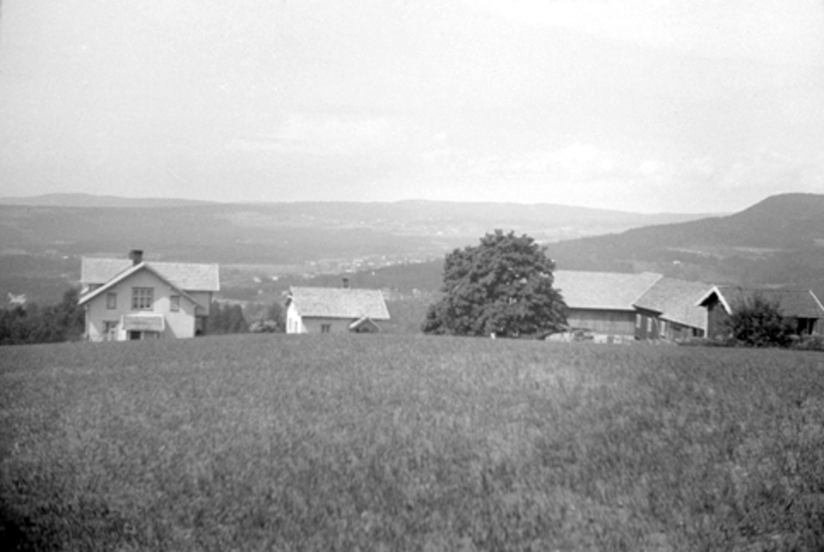 TUN, ALMERUD, FURNES i Ringsaker, FB1. 79, GNR. 205-1 - Anno ...