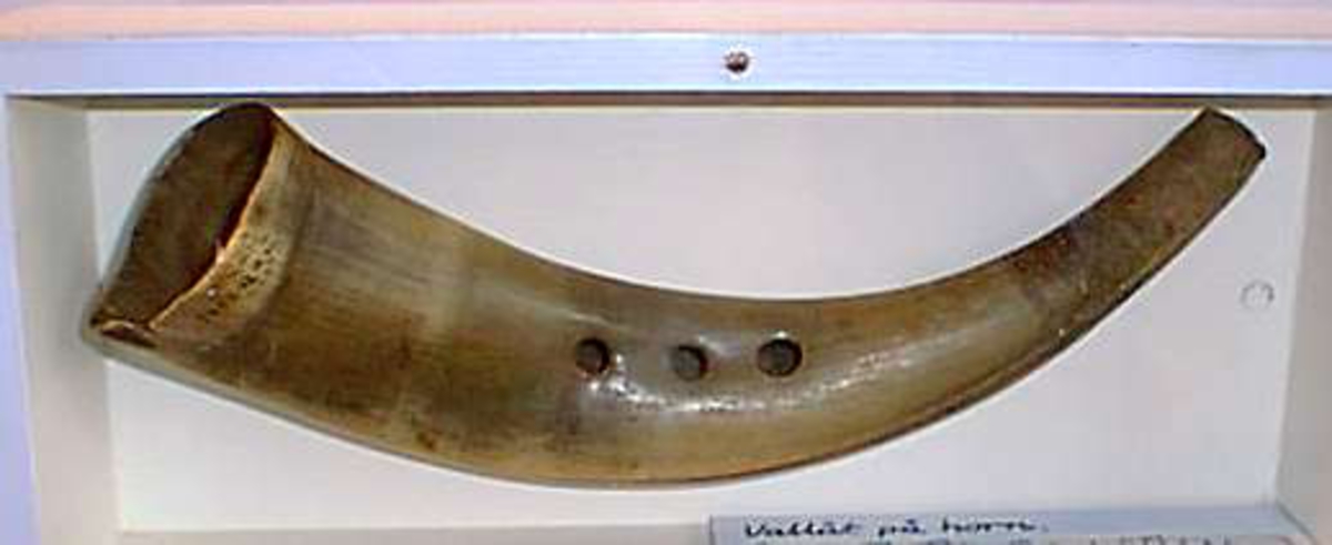 Vallhorn - Upplandsmuseet / DigitaltMuseum