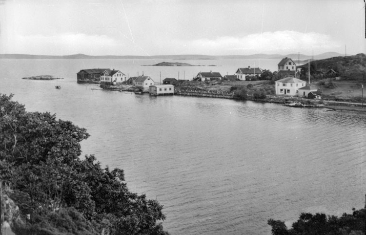 Djupvik på Tjörn - Bohusläns museum / DigitaltMuseum